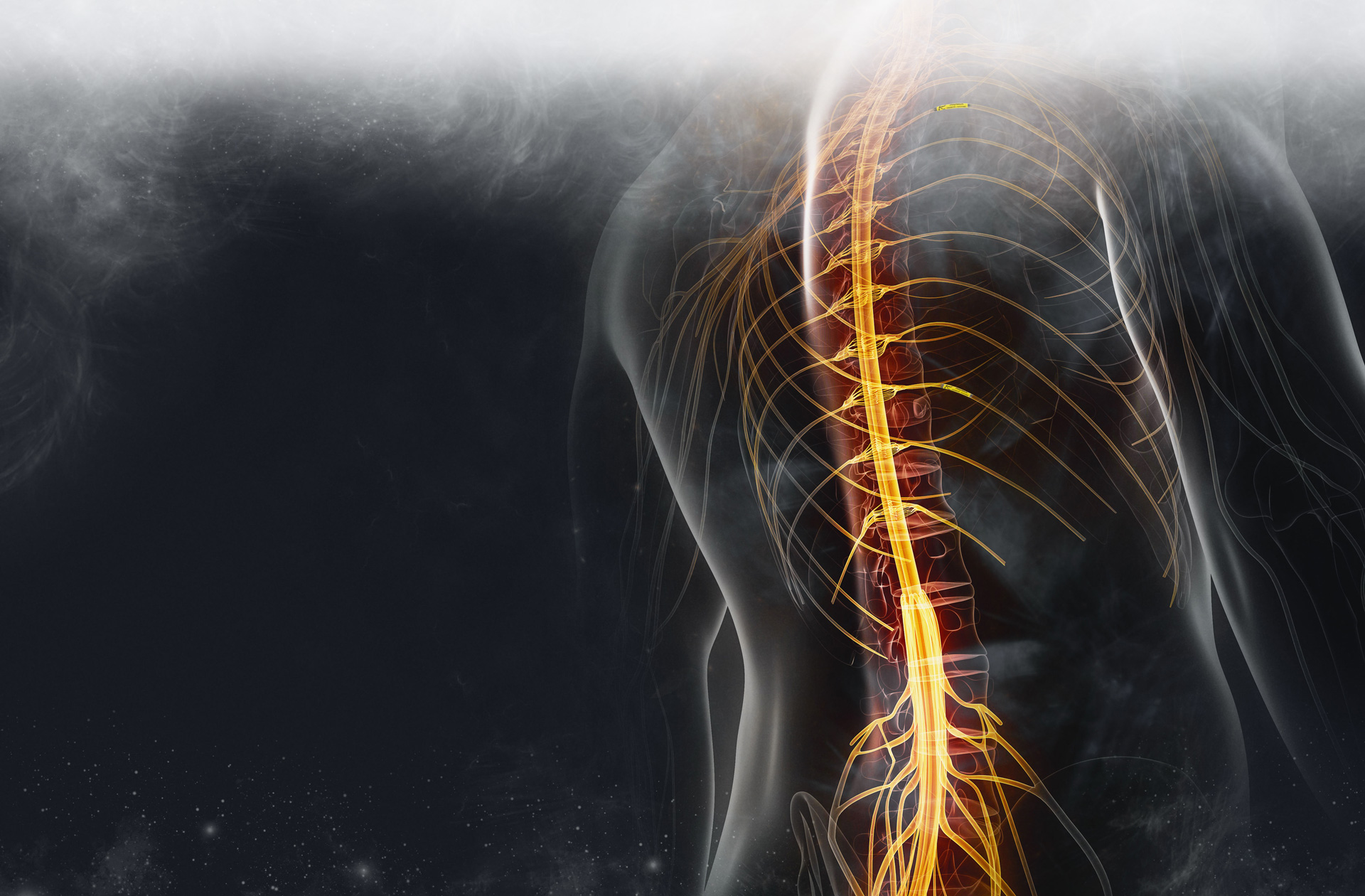 Home - Raytech Group