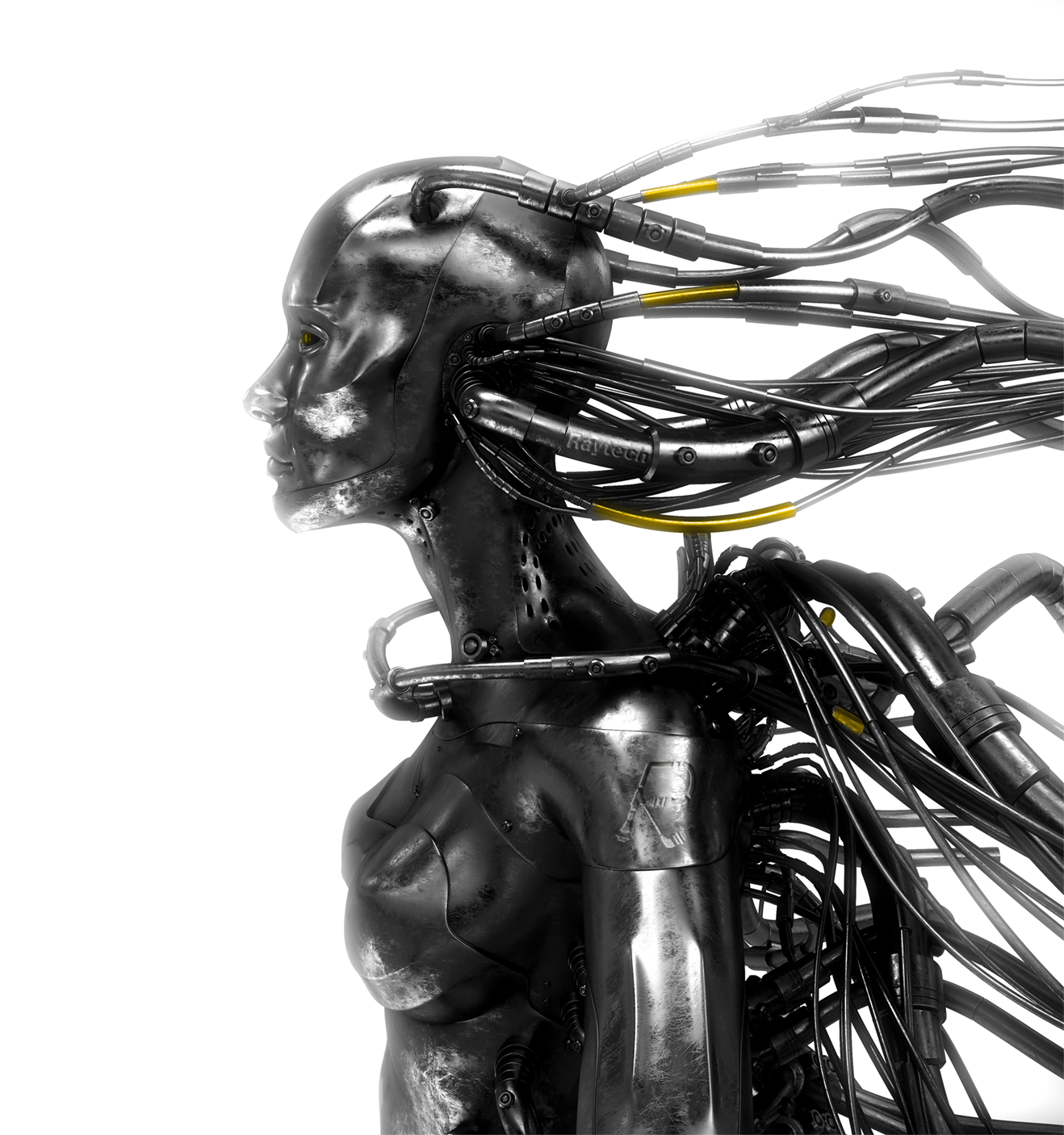 Home - Raytech Group