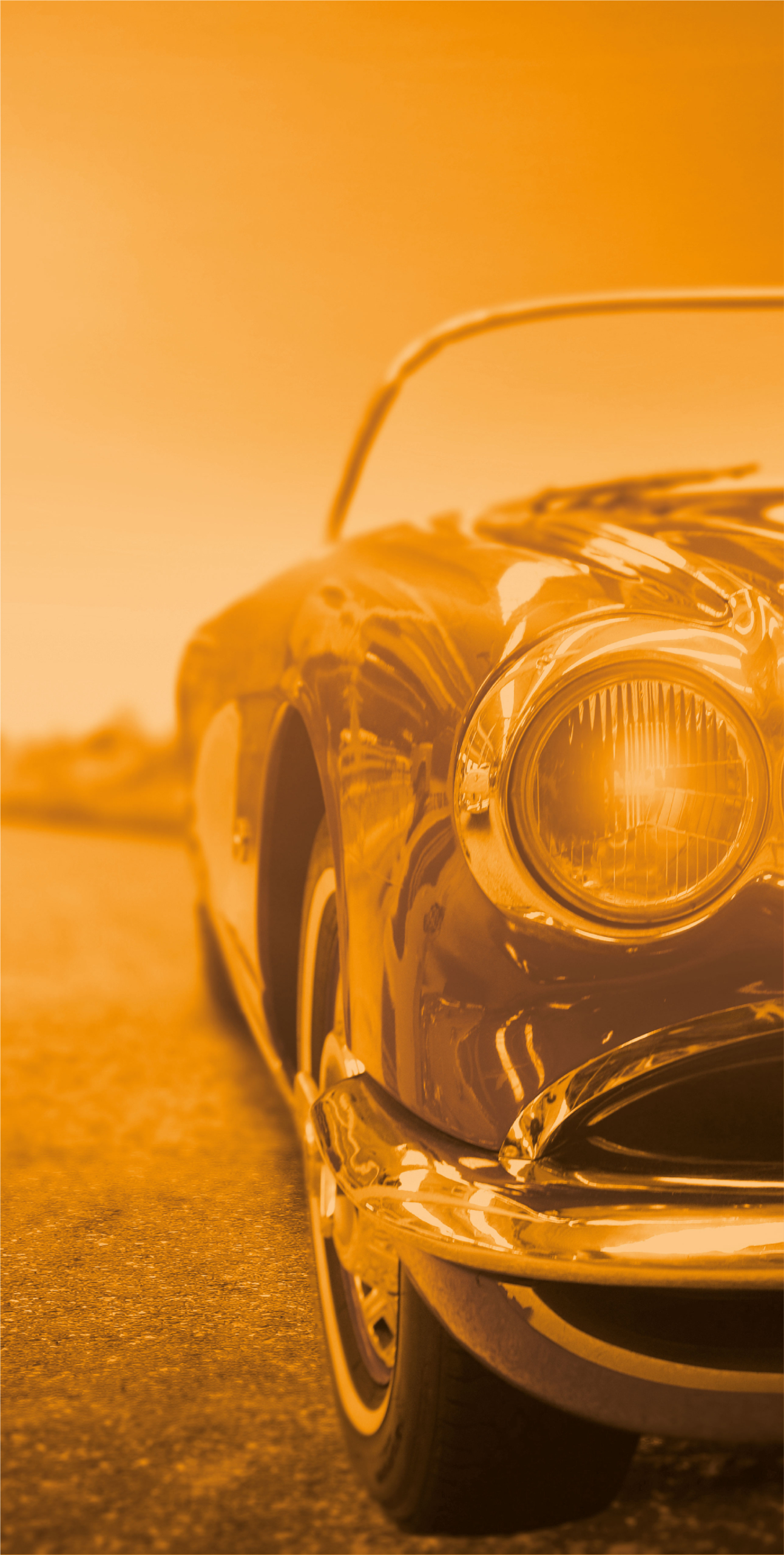 Startseite - Raytech Group